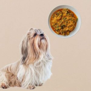 10 Best Foods for Your Shih Tzu's Diet