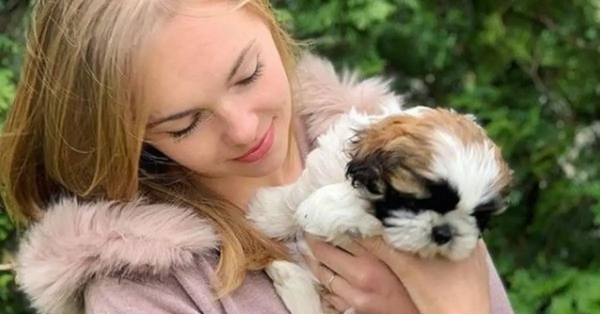 10 Fun Tricks to Teach Your Shih Tzu This Year